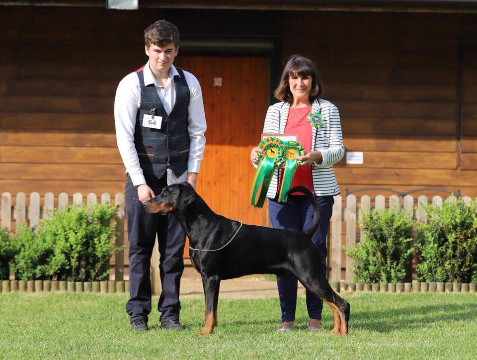 2018 Championship Show - The Dobermann Club